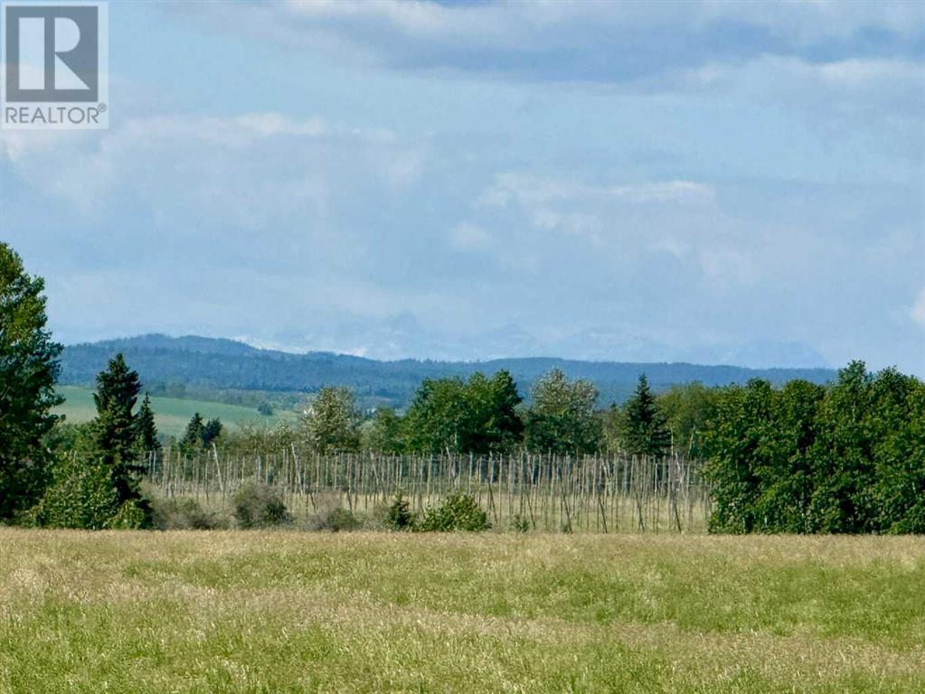 For sale: RR40 south of Twp Rd 293, Rural Mountain View County, Alberta T0M0S0 - A2216785 ...