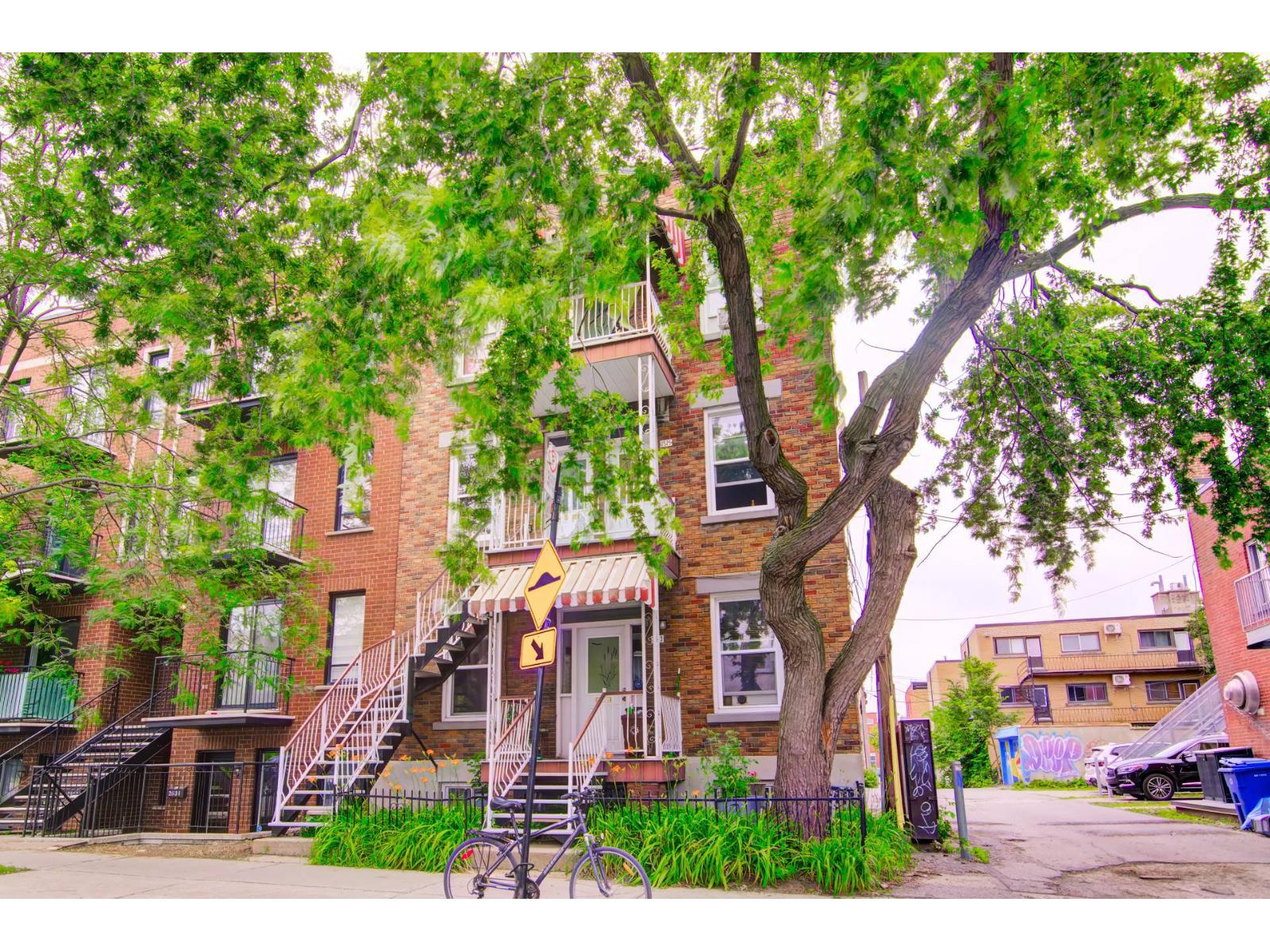 For sale: 2523-2527 Av. De La Salle, Montréal (Mercier/Hochelaga ...