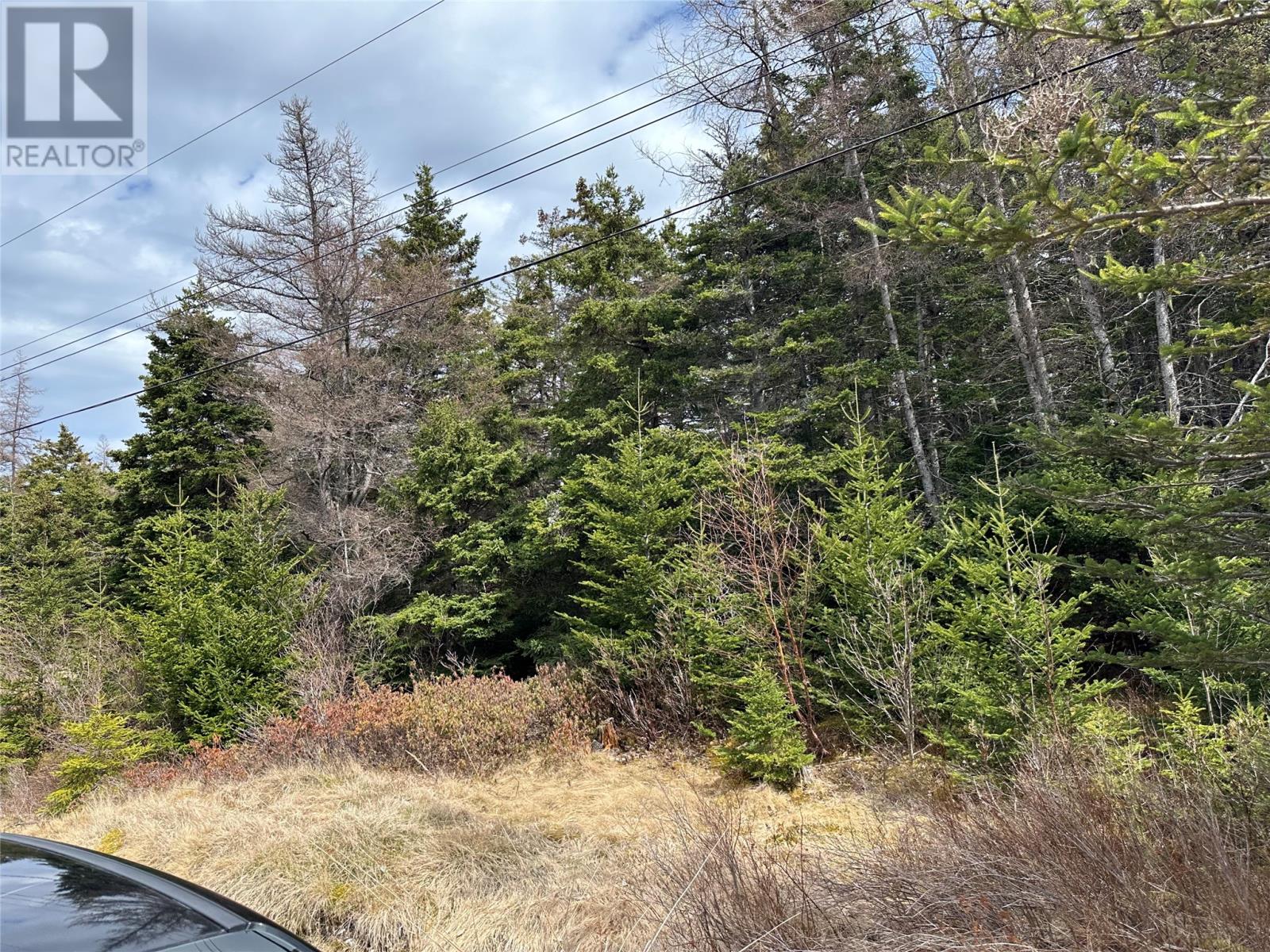 For sale: 83-84 Conception Bay Highway, Colliers, Newfoundland ...