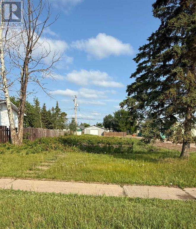 For sale: 10006 99 Street, High Level, Alberta T0H1Z0 - A2238587 | REALTOR.ca