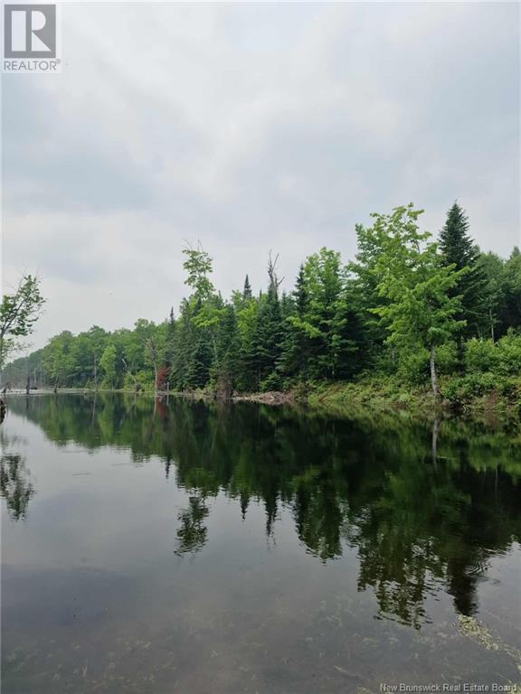 For sale: 50.3 Acres Centenaire Street, Lorne, New Brunswick E8G1G3 ...