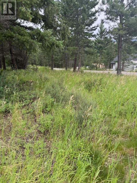 For sale: Lot 56 Charles Street, Elko, British Columbia V0B1T3 ...