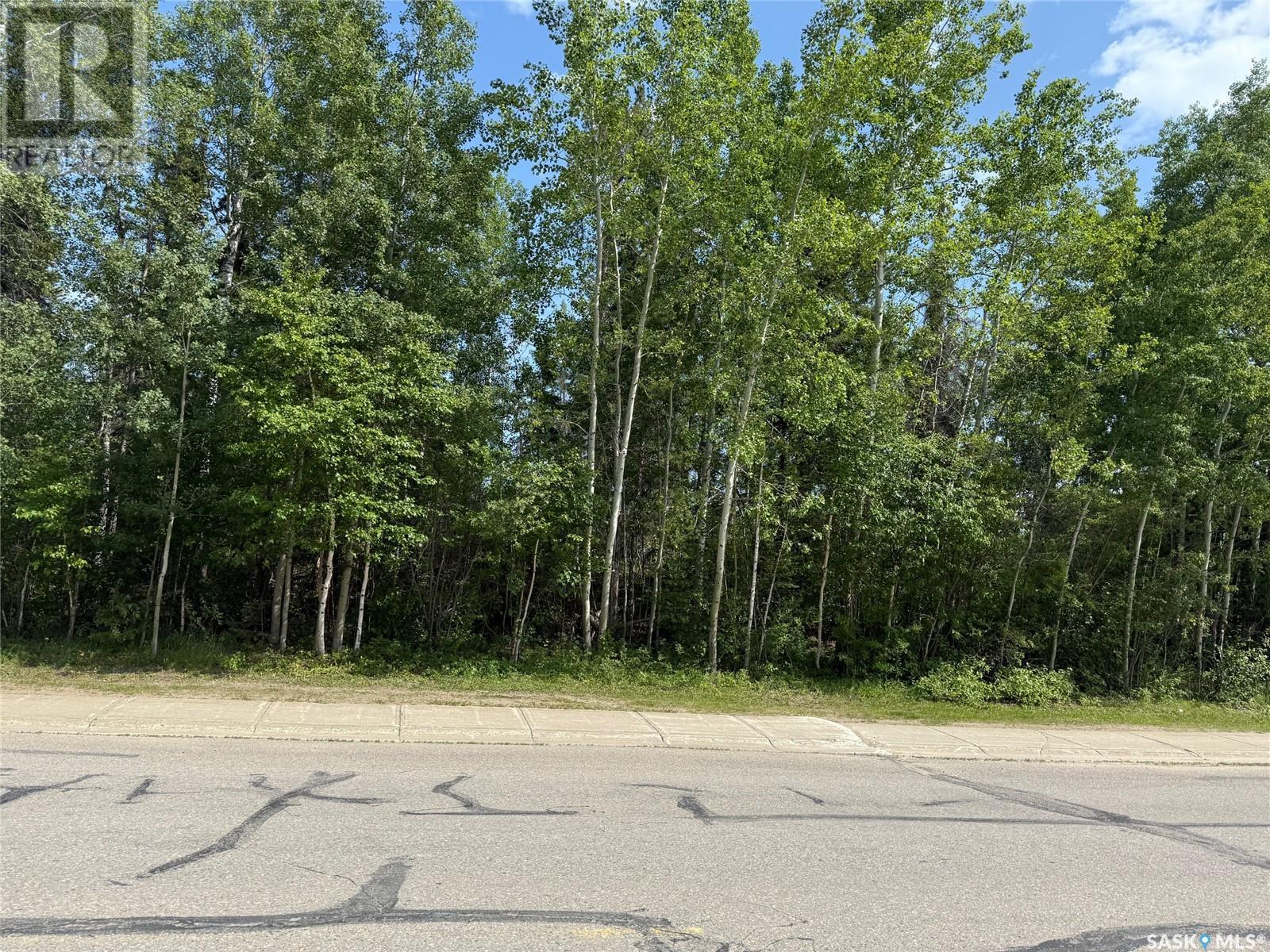 For sale: 1307 Studer STREET, La Ronge, Saskatchewan S0J1L0 - SK013458 ...