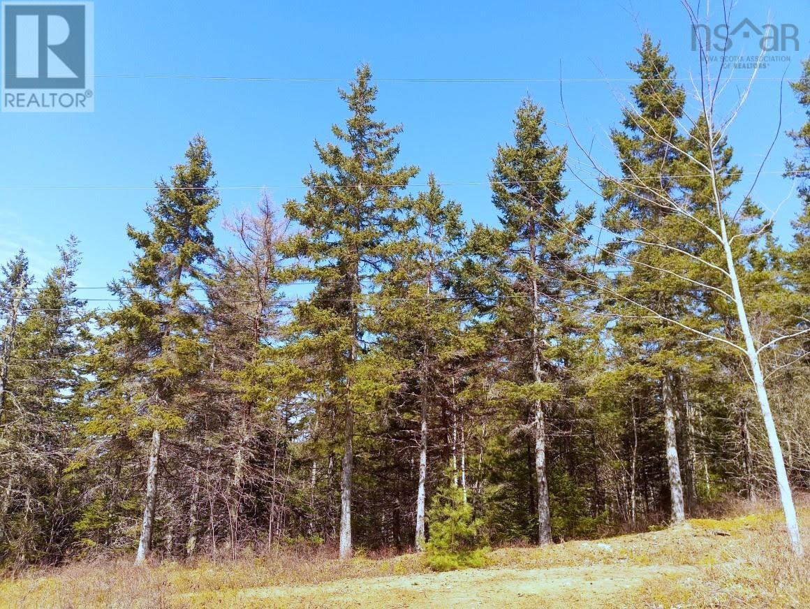 For sale: 13 Johnny Cash Lane, Juniper Mountain, Nova Scotia B1K0C2 ...