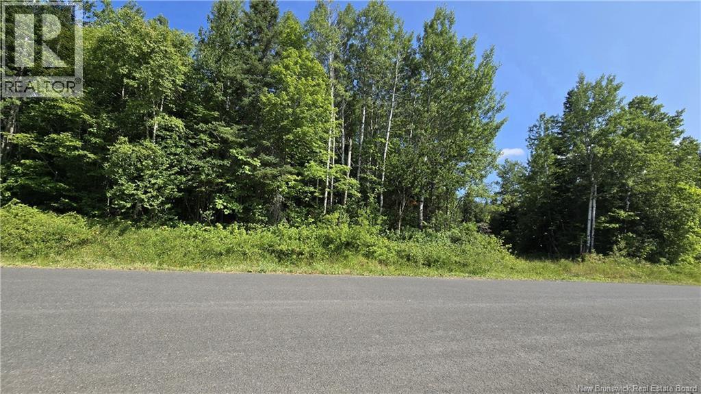 For sale: Lot Des Chalets Road, Saint-Arthur, New Brunswick E3N5P3 ...