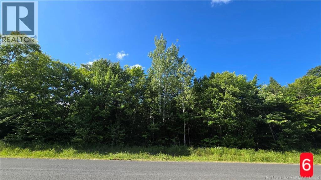 For sale: Lot Des Chalets Road, Saint-Arthur, New Brunswick E3N5P3 ...