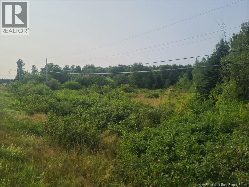 For sale: 3.7 Acres Route 180, South Tetagouche, New Brunswick E2A7G2 ...