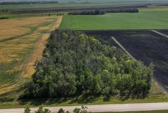 For sale: 1 Hunter Road, Springfield Rm, Manitoba R5T0G8 - 202520474 ...