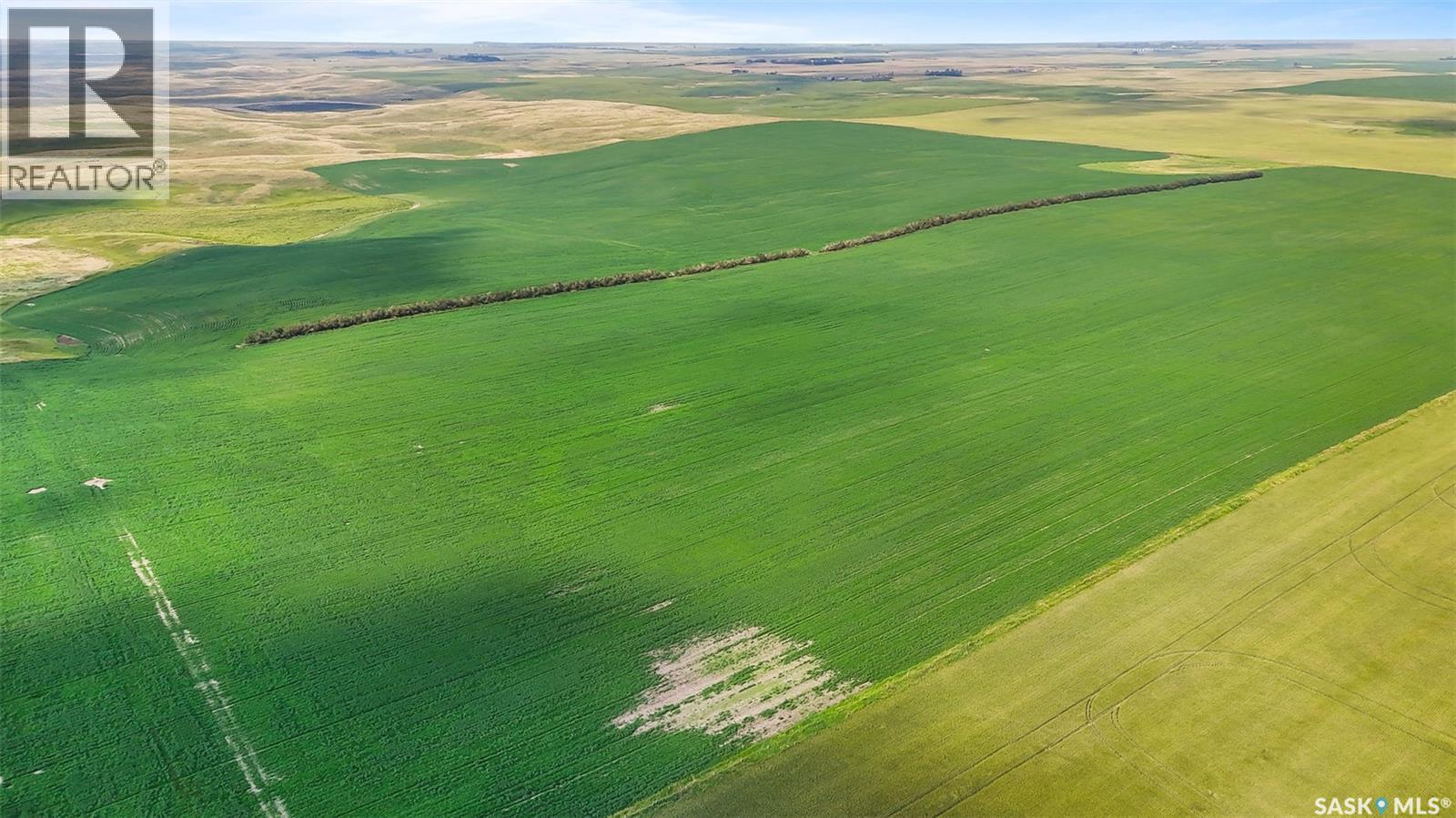For sale: 5 Quarters Grainland Near Pangman, SK (Webb), Norton Rm No. 69, Saskatchewan S0C2C0 ...