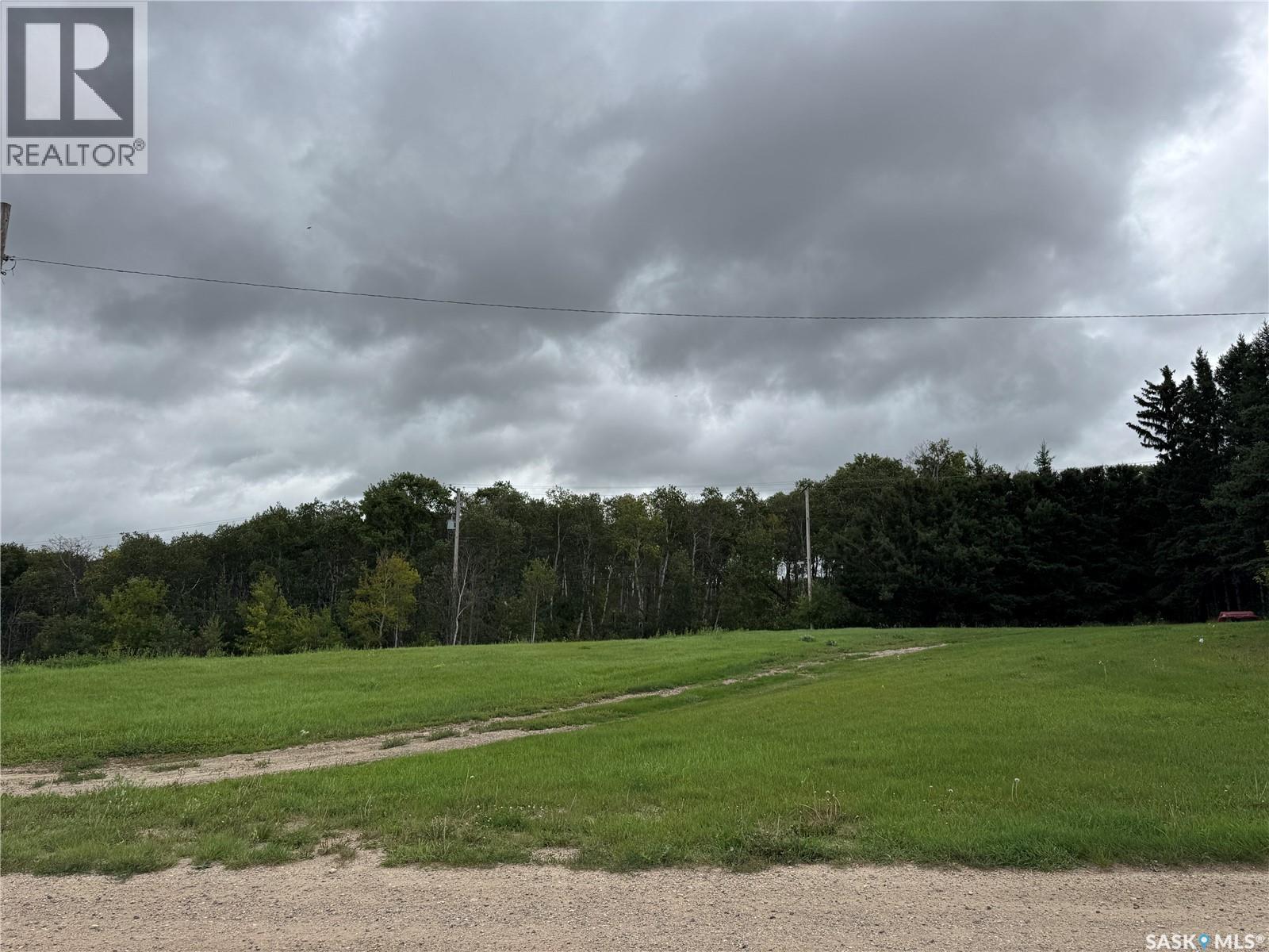607 Main STREET, Punnichy, Saskatchewan S0A3C0 | REALTOR.ca