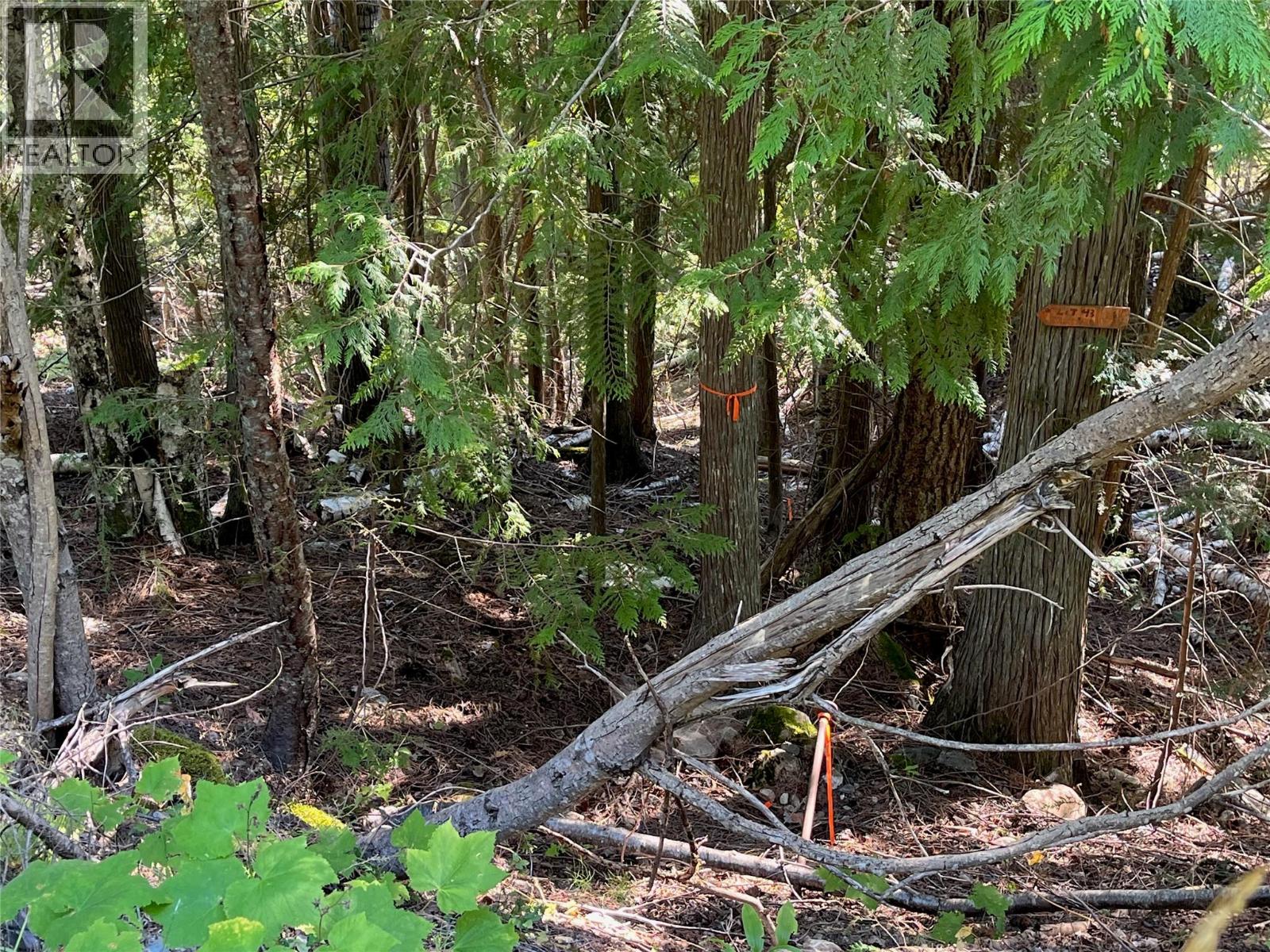 For sale: Lot 43 Vickers Trail Lot# 43, Anglemont, British Columbia ...