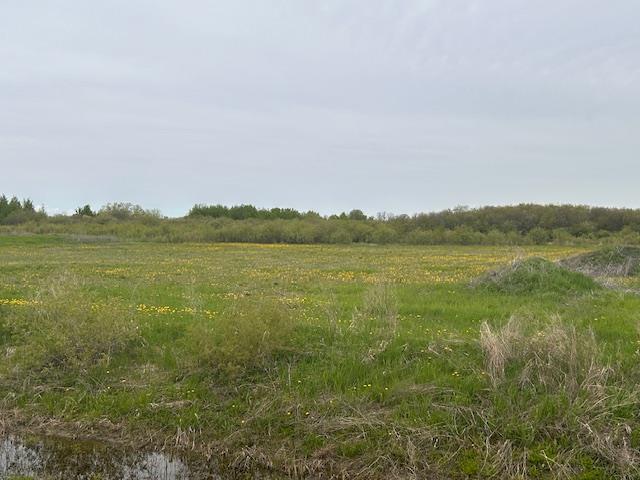 À vendre : 315 LUDWICK Road, St Clements, Manitoba R1C0A9 - 202524797 ...