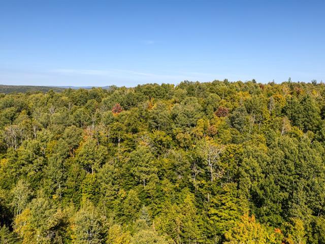 For sale: 3e avenue Lac-Vallée E., Sainte-Béatrix, Quebec J0K1Y0 ...