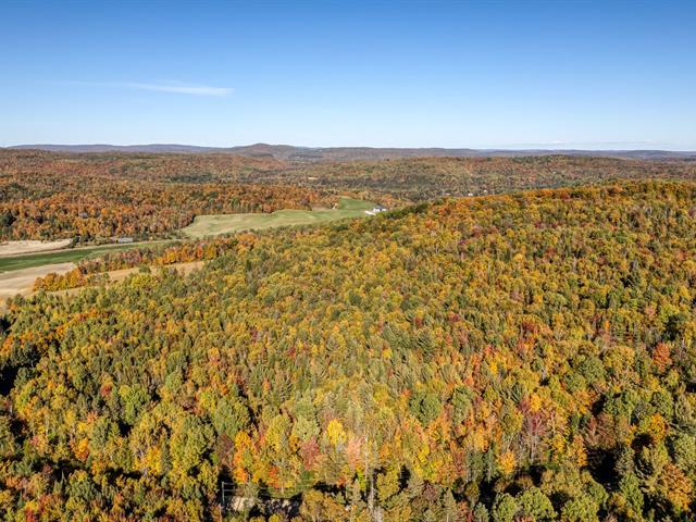 À vendre : Mtée du Lac-Ayotte, Sainte-Béatrix, Québec J0K1Y0 - 14704943 ...