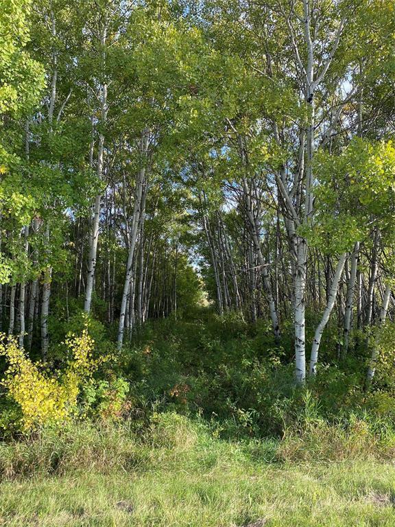 For sale: 0 Floodway Drive S, St Clements, Manitoba R1A2A8 - 202525301 ...