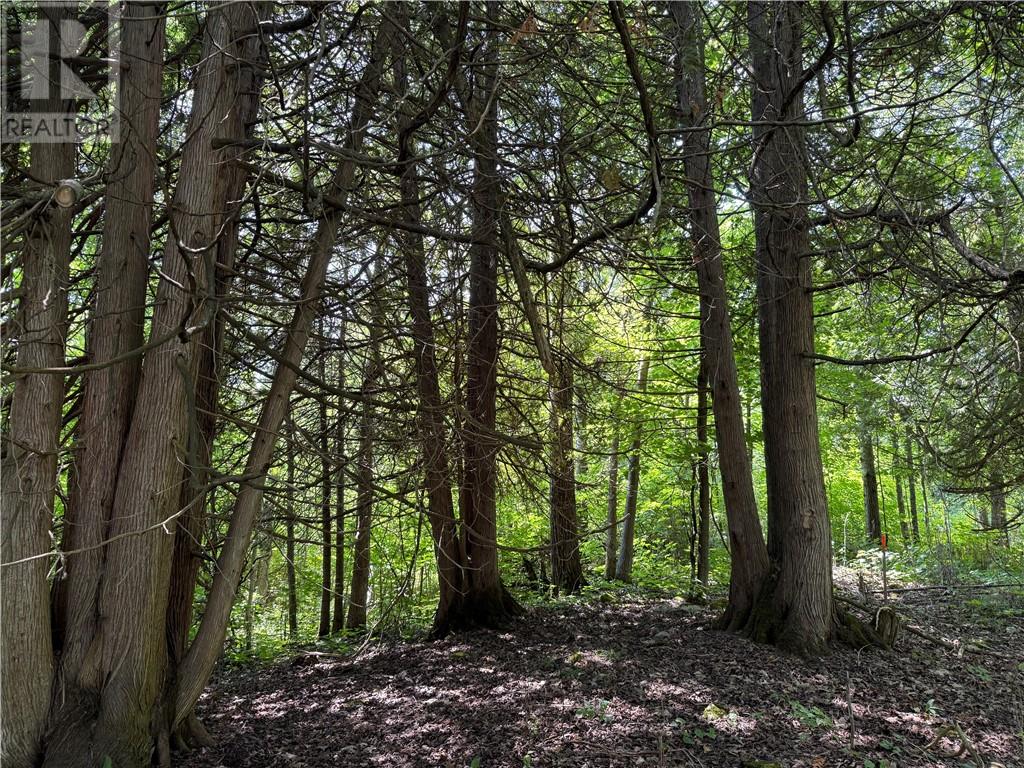 For sale: Lot 20 High Falls Road, Assiginack, Ontario P0P1N0 - 2124993 ...