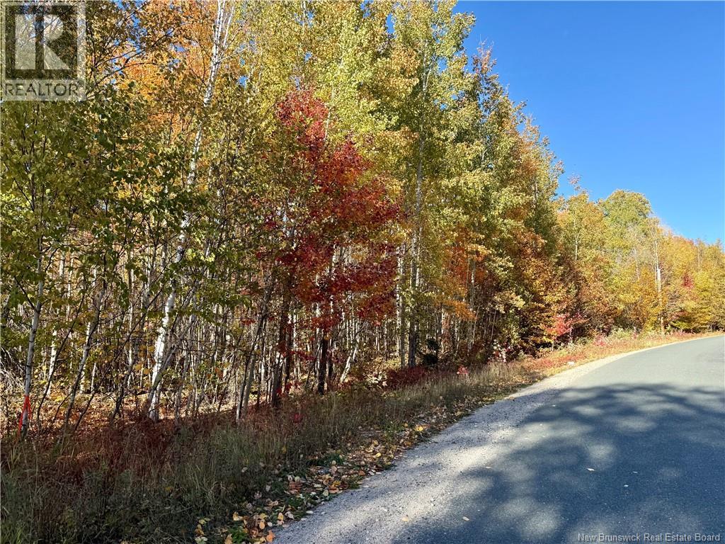 For sale: Lot 96-1 Hilltop Road, Hilltop, New Brunswick E9E1R9 ...