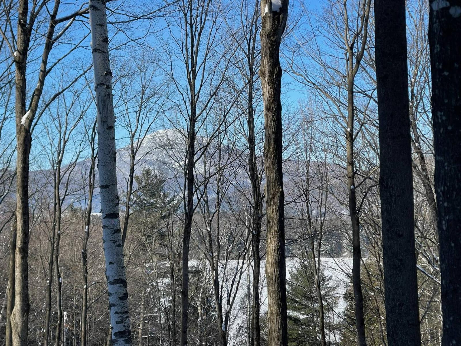 For sale: Descente 11A, Ogden, Quebec J0B3E3 - 25167683 | REALTOR.ca