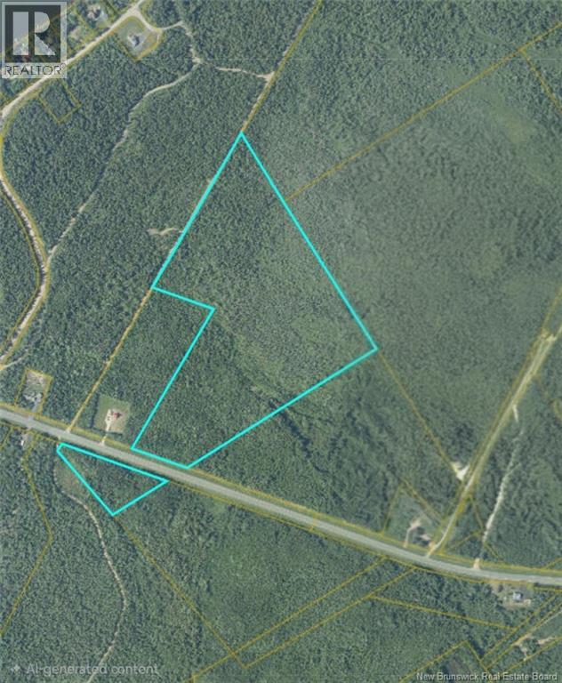 For sale: 37 acres Route 113, Inkerman, New Brunswick E8P1E2 - NB128799 ...