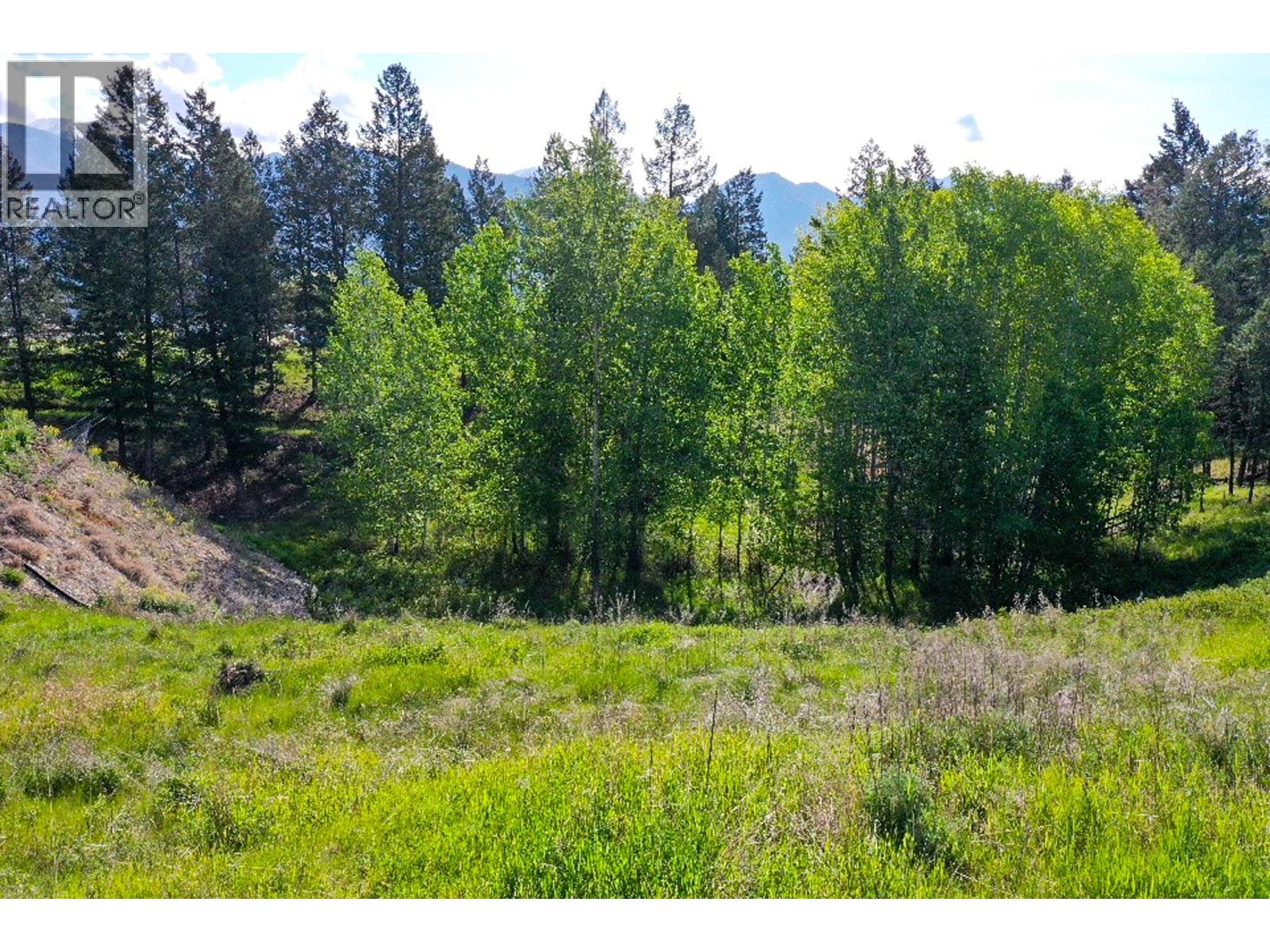 For sale: 2161 PINETREE Place, Invermere, British Columbia V0A1K4 ...