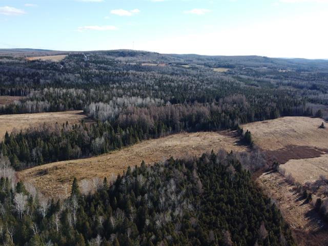 For sale: 350 5e-et-6e Rang E., Saint-Michel-du-Squatec, Quebec G0L4H0 ...