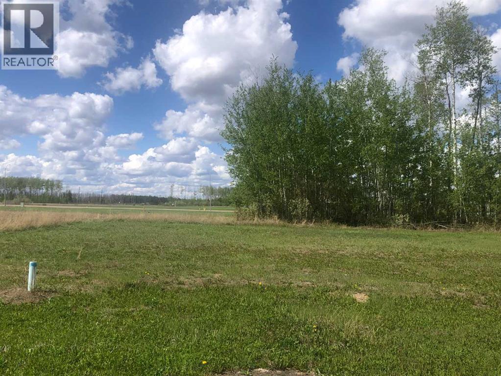 For sale: 39 Chonkolay Drive, High Level, Alberta T0H1Z0 - A2223757 ...