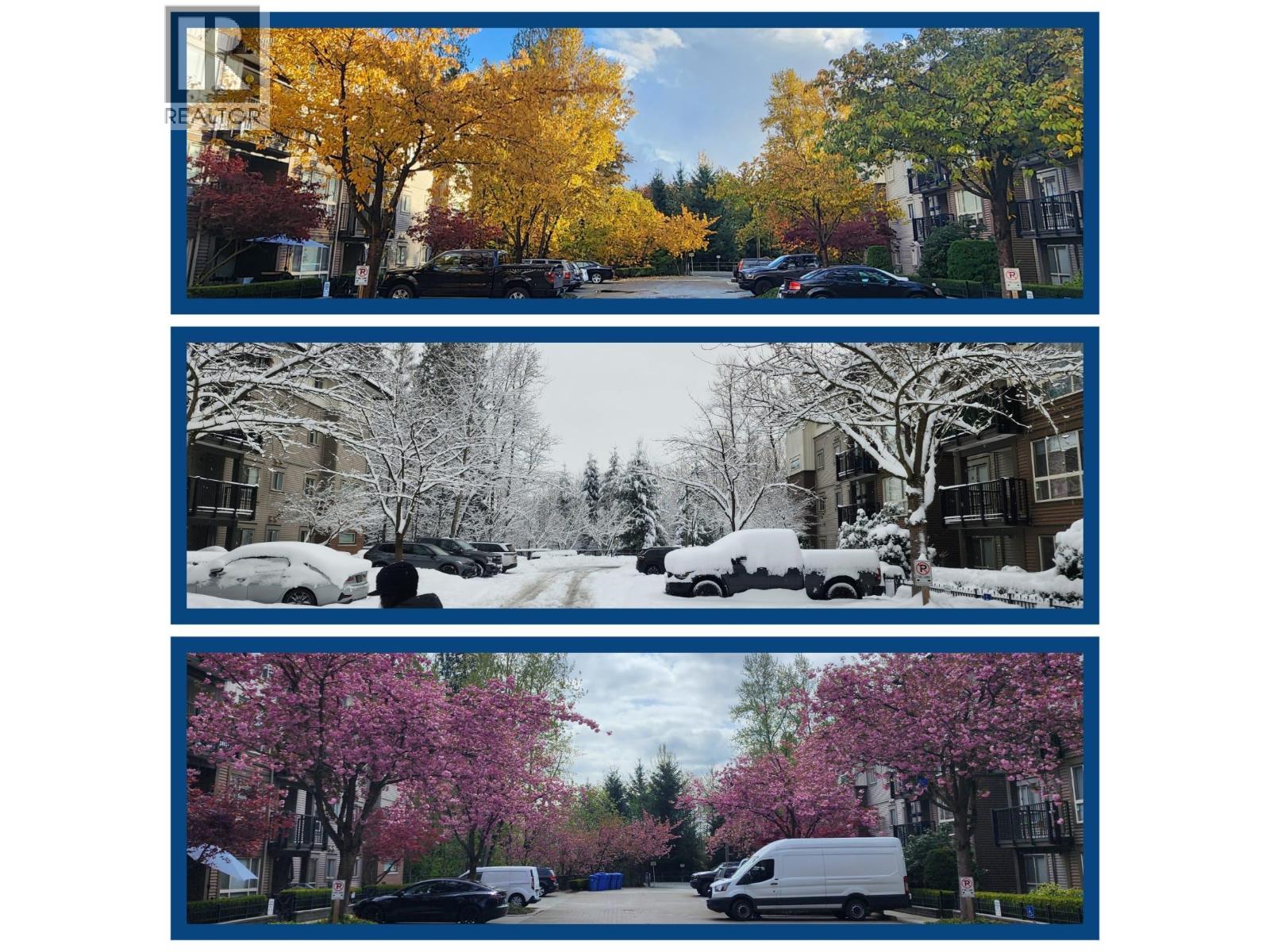 For sale: 101 11665 HANEY BYPASS, Maple Ridge, British Columbia V2X8W9 ...