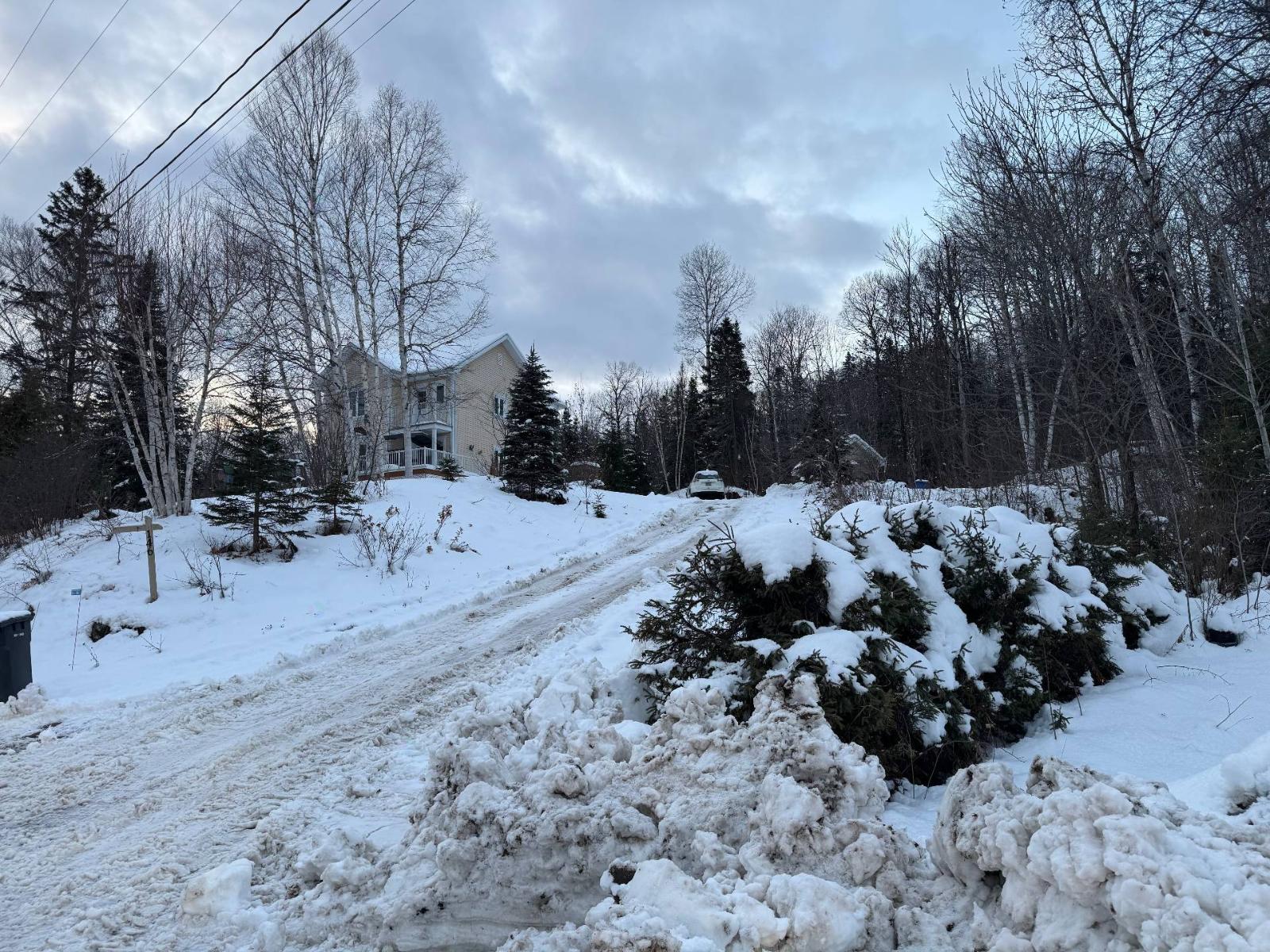 For sale: 146 Ch. de la Montagne, Lac-Bouchette, Quebec G0W1V0 ...
