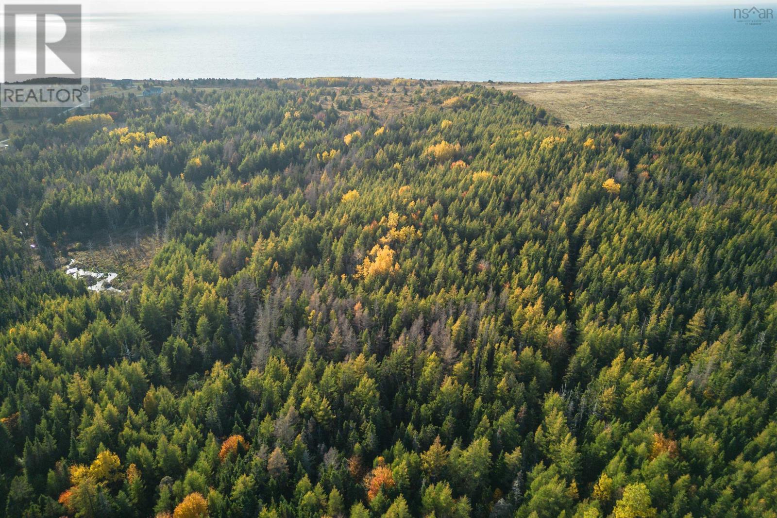 For sale: Lot 1 Highway 19 Highway, Long Point, Nova Scotia B0E1P0 ...