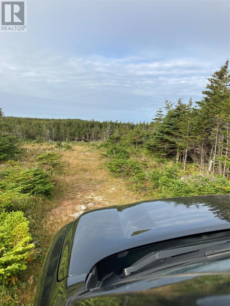 For sale: 1690 Oceanview Drive, Cape St. George, Newfoundland ...