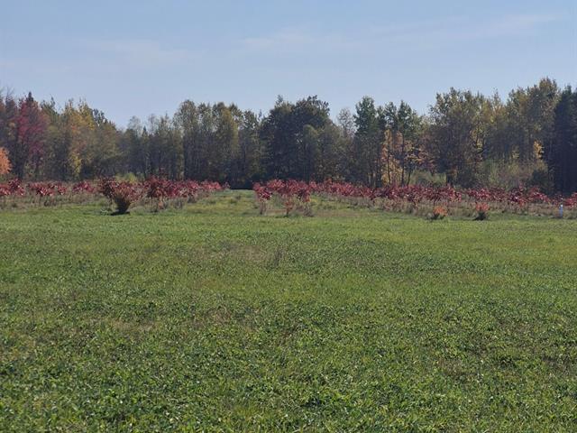 For sale: 754Y Rg Ste-Agathe, Sainte-Sophie-de-Lévrard, Quebec G0X3C0 ...