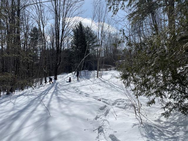 For sale: Rue Deslauriers, Magog, Quebec J1X3W4 - 14733680 | REALTOR.ca