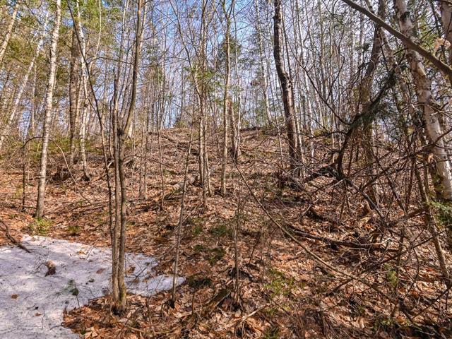 À vendre : Rue de la Toundra, Brownsburg-Chatham, Québec J8G2P1 ...