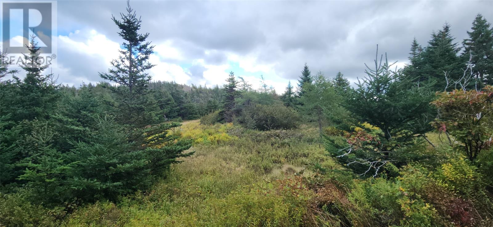 À vendre : 11 Barrys Island Road N, Avondale, Terre-Neuve-et-Labrador ...