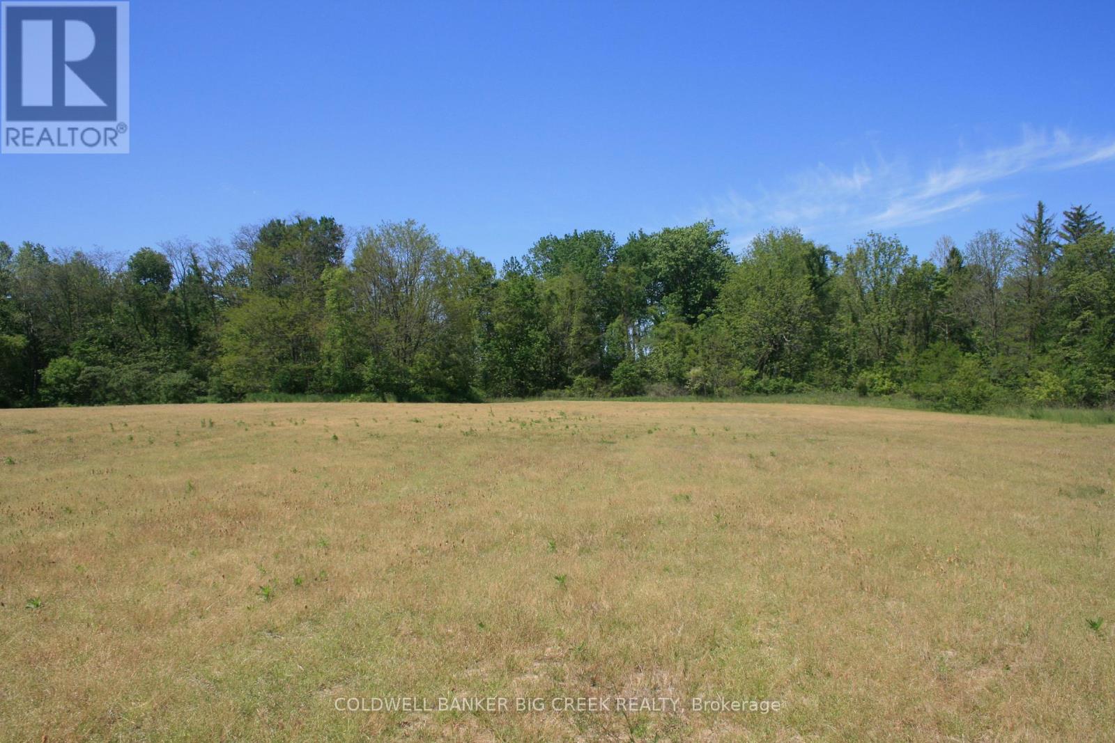 For sale: 6349A PLANK ROAD, Bayham (Vienna), Ontario N0J1Z0 - X12716244 ...