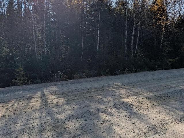 À vendre : Ch. des Roses, Saint-Donat, Québec J0T2C0 - 10870883 ...