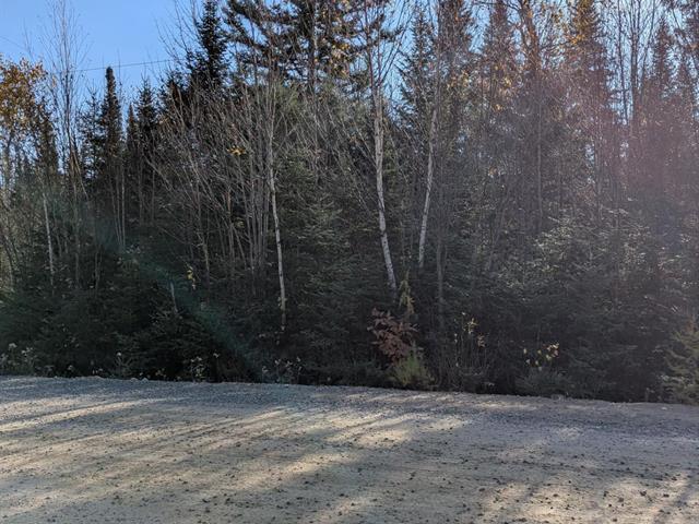 À vendre : Ch. des Roses, Saint-Donat, Québec J0T2C0 - 10870883 ...