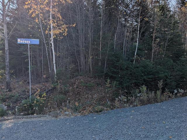 À vendre : Ch. des Roses, Saint-Donat, Québec J0T2C0 - 10870883 ...