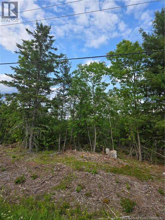 For sale: Lot 09-15 Route 105, Jemseg, New Brunswick E4C3K7 - NB133160 ...