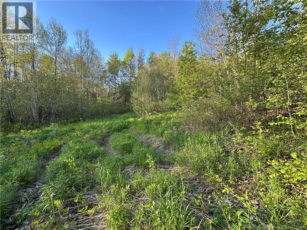 For sale: Highfield Road, Pearsonville, New Brunswick E5P1T2 - NB133385 ...