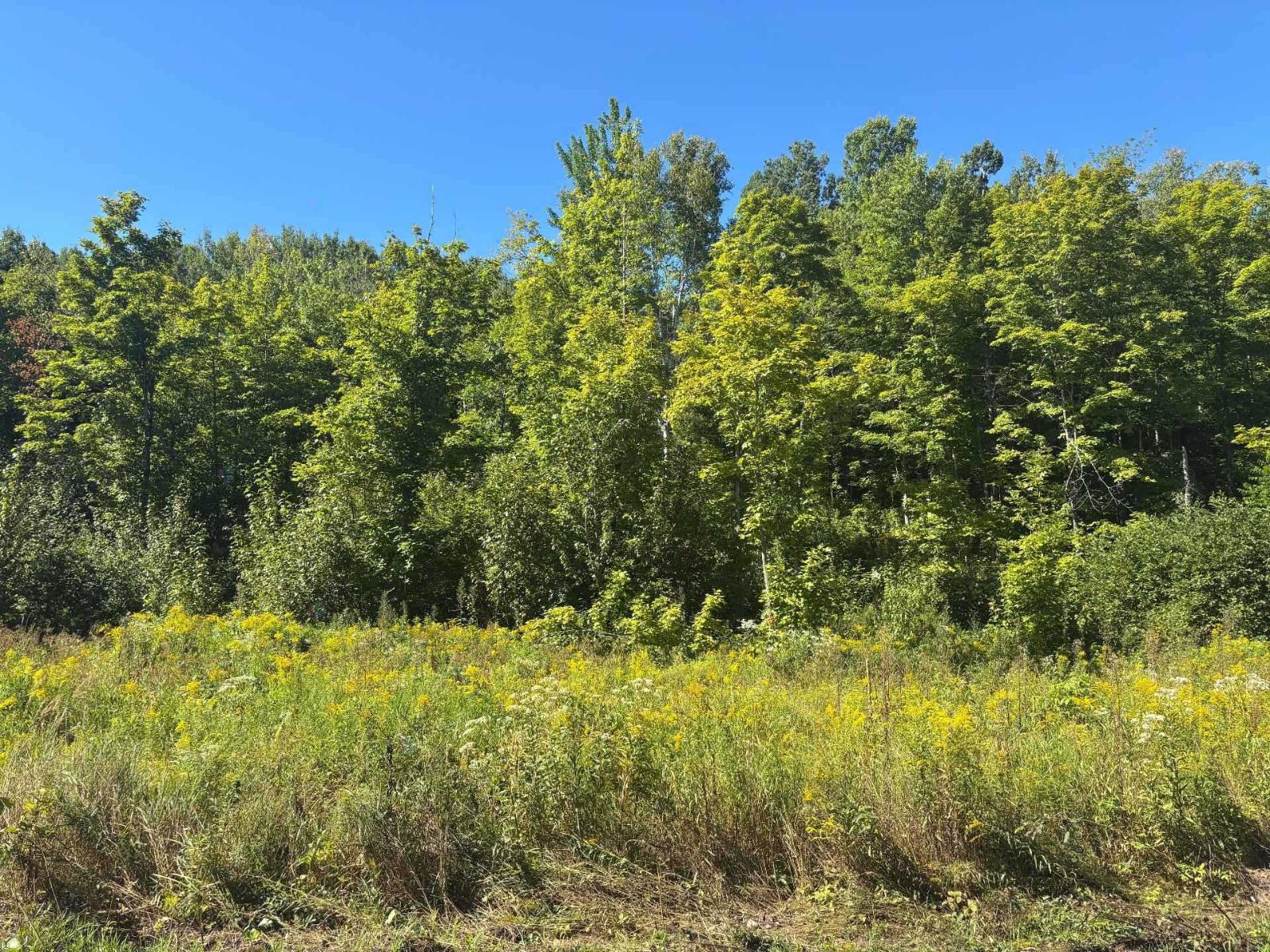 À vendre : Rg Thibodeau, Saint-Alexis-des-Monts, Québec J0K1V0 ...