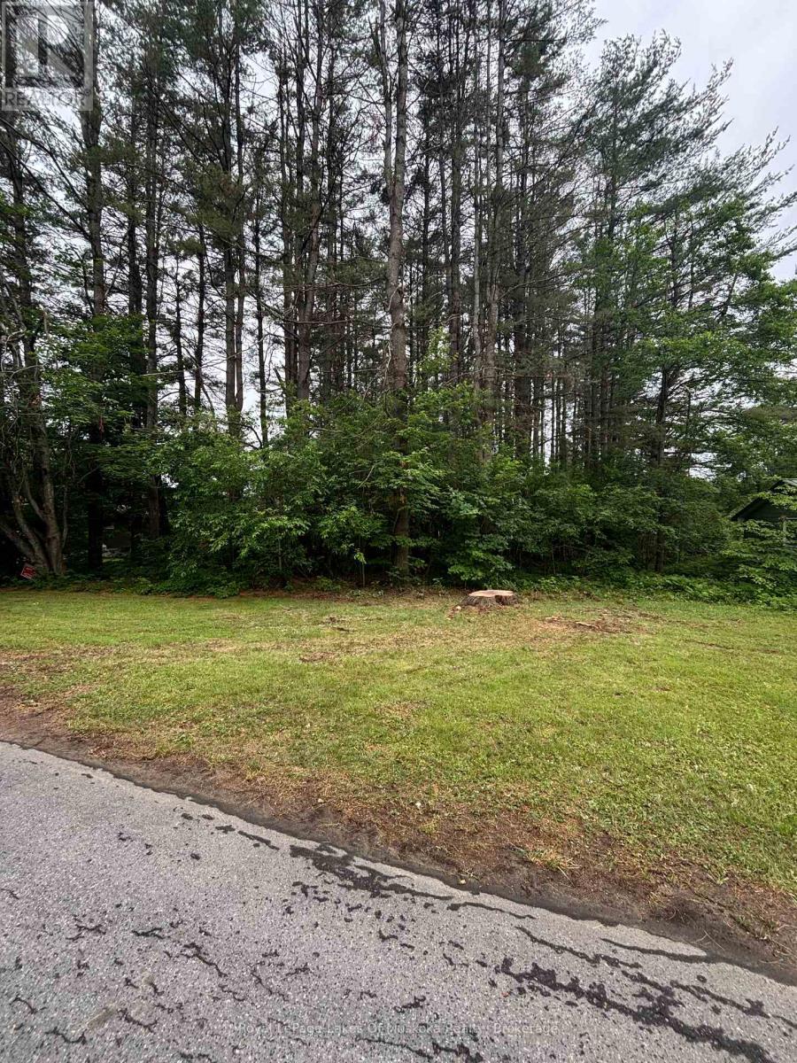 124 Frederick Street, Bracebridge (Draper), X12250411: 124 Frederick St