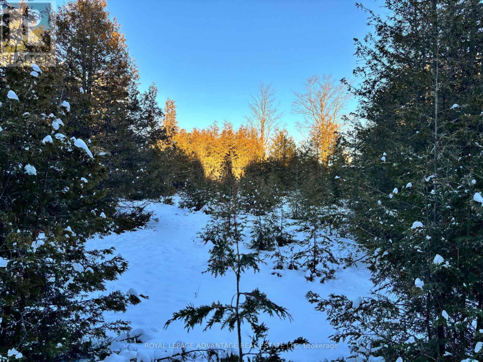 For sale: 14311 COUNTY 15 ROAD, Merrickville-Wolford, Ontario K0G1N0 ...