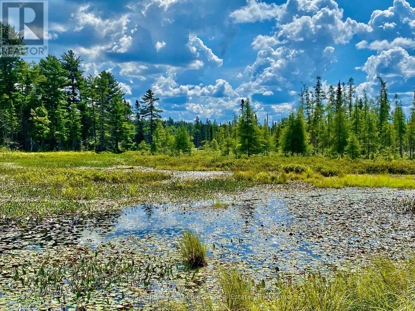For sale: 0 CONC. RD 10 AND 11 CONCESSION N, Parry Sound Remote Area ...