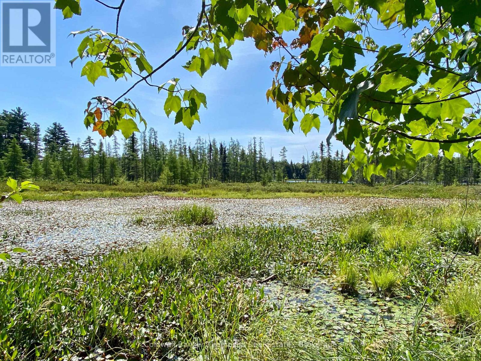 For sale: 0 CONC. RD 10 AND 11 CONCESSION N, Parry Sound Remote Area ...