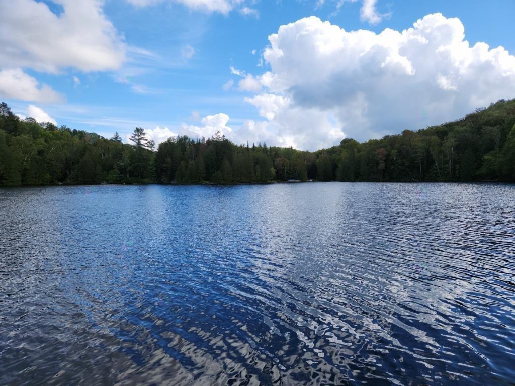 For sale: 920 Ch. du Lac-Winnetou, Amherst, Quebec J0T2T0 - 21408691 ...