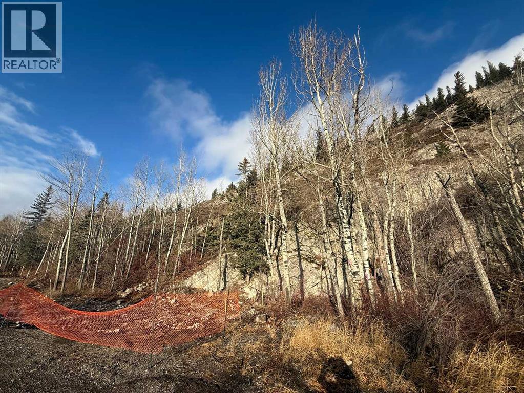 For sale: 65 Acres Along Windridge Road, Rural Bighorn No. 8, M.D. of ...