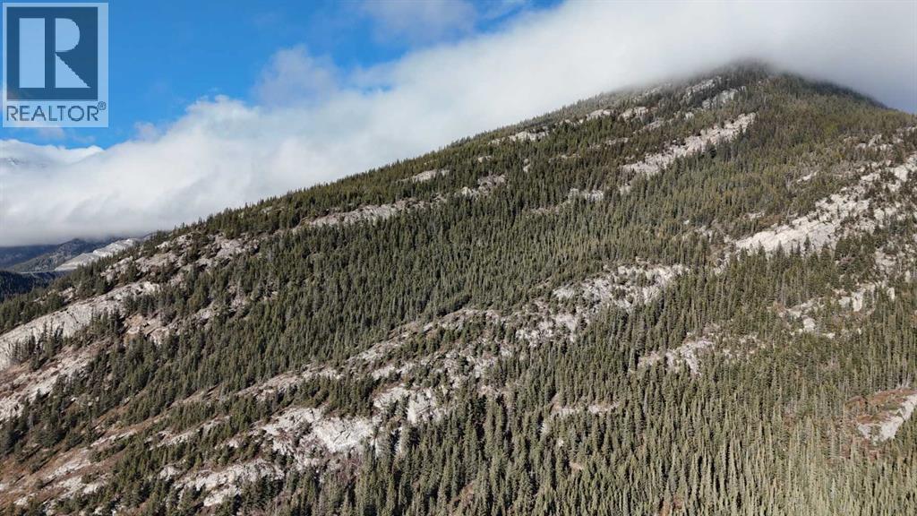 For sale: 65 Acres Along Windridge Road, Rural Bighorn No. 8, M.D. of ...