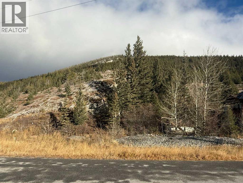 For sale: 65 Acres Along Windridge Road, Rural Bighorn No. 8, M.D. of ...