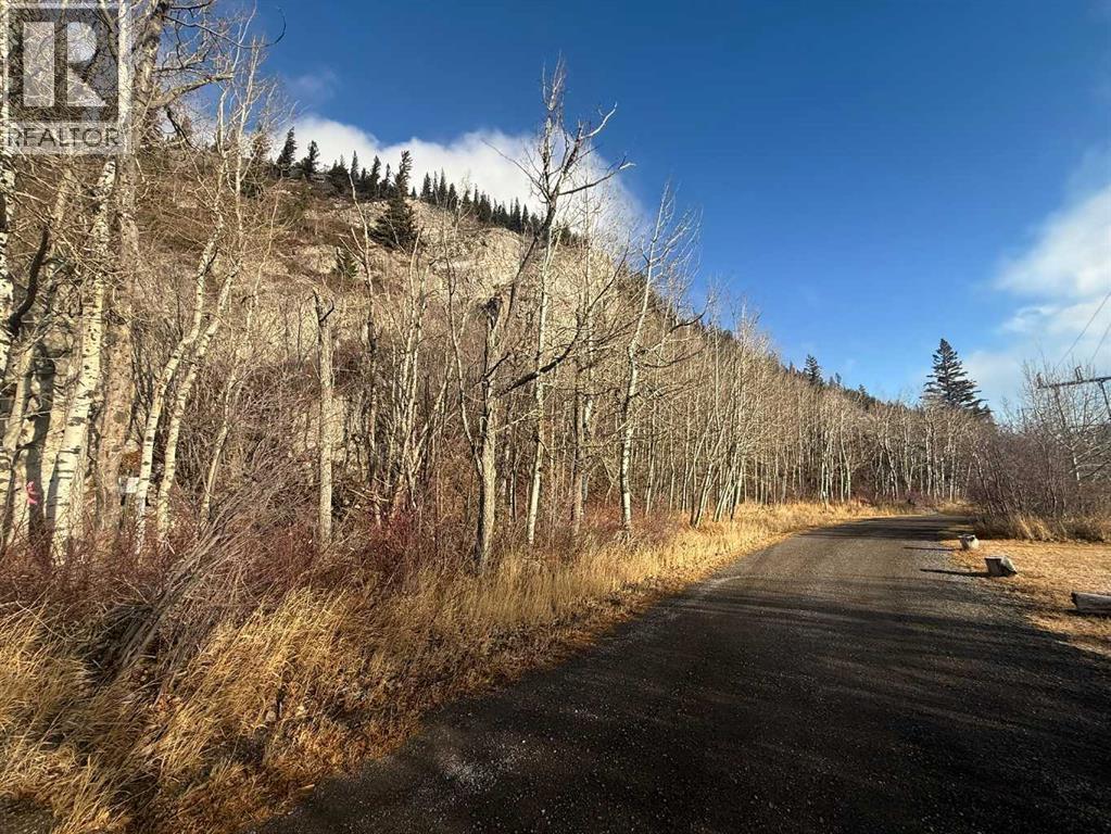 For sale: 65 Acres Along Windridge Road, Rural Bighorn No. 8, M.D. of ...